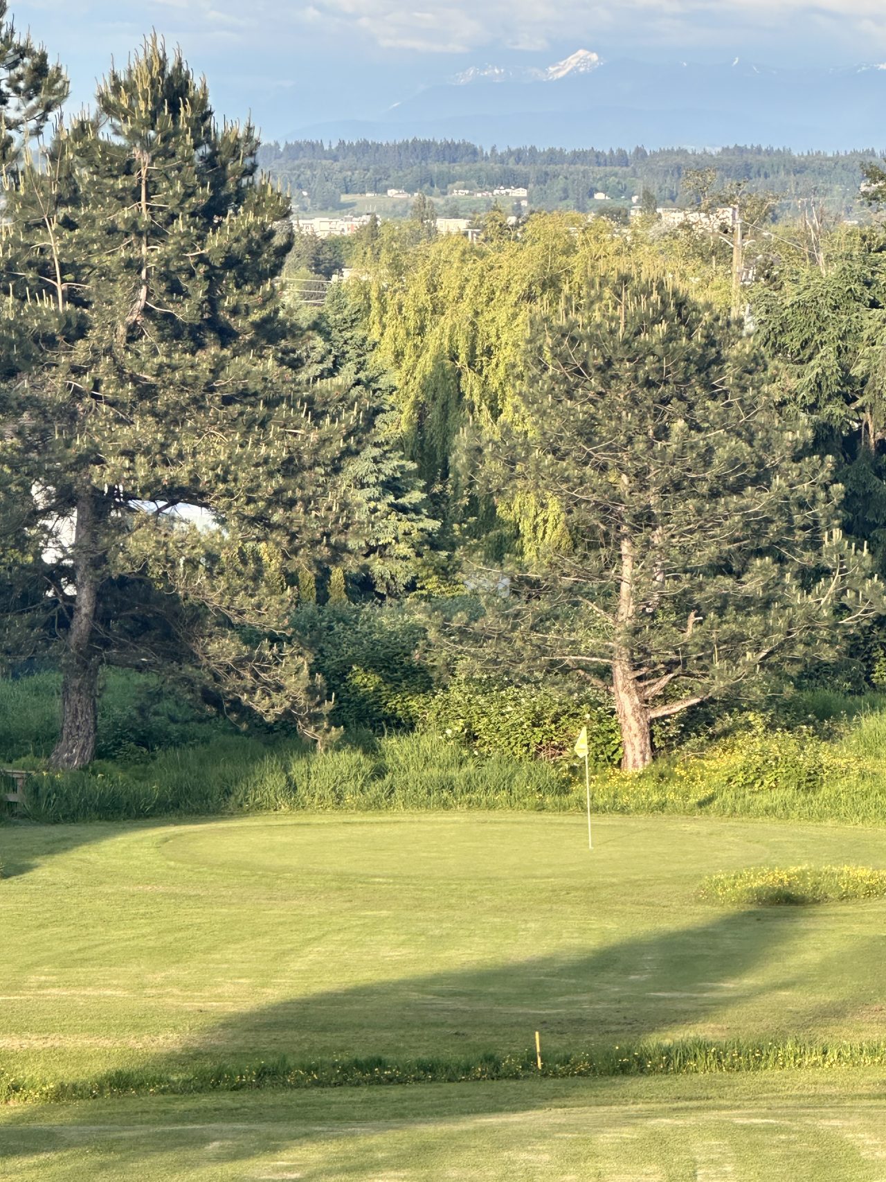 Family Fun Golf Course Surrey Clayton - The Backyard Golf